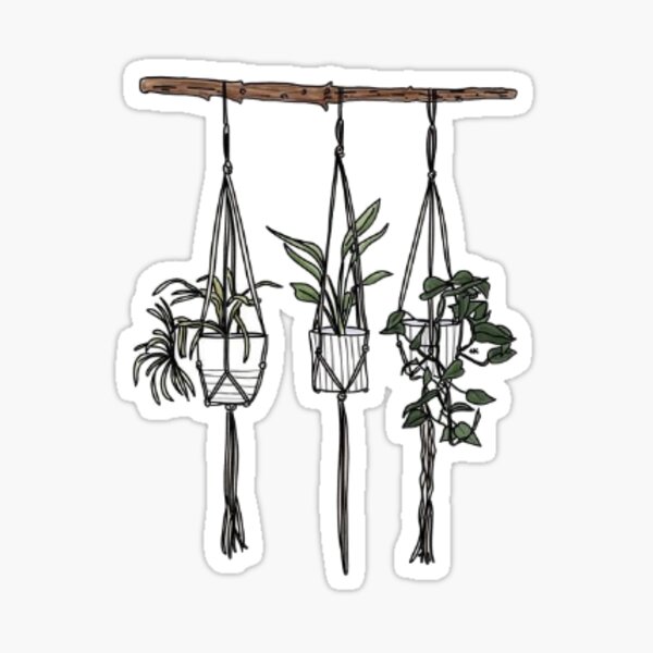"hanging plants 2" Sticker for Sale by madelinepaul99 | Redbubble