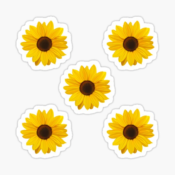 "sunflower stickers pack" Sticker for Sale by Rpadnis | Redbubble