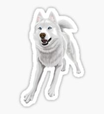 Husky Stickers | Redbubble