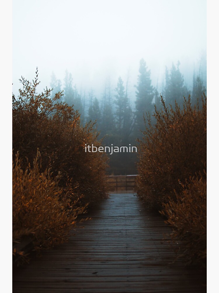 "Orange Path III" Sticker for Sale by itbenjamin | Redbubble