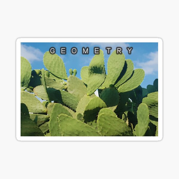 "GEOMETRY of Cactus" Sticker by JaehoKim | Redbubble