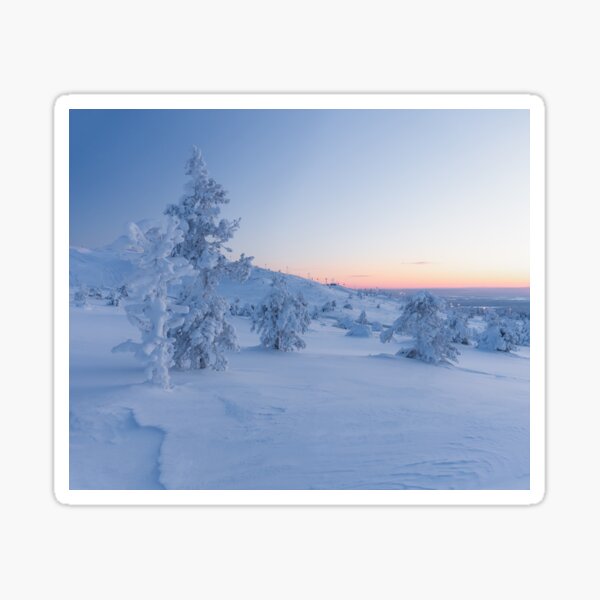 "tree covered with snow" Sticker by landskape | Redbubble