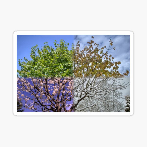 "four seasons - the four seasons" Sticker for Sale by Boxy2806 | Redbubble