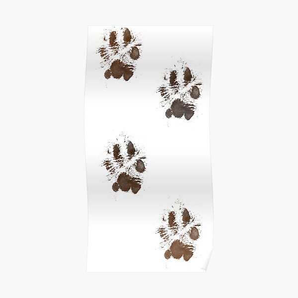 "Muddy paw prints - Real looking and authentic" Poster for Sale by bdws ...