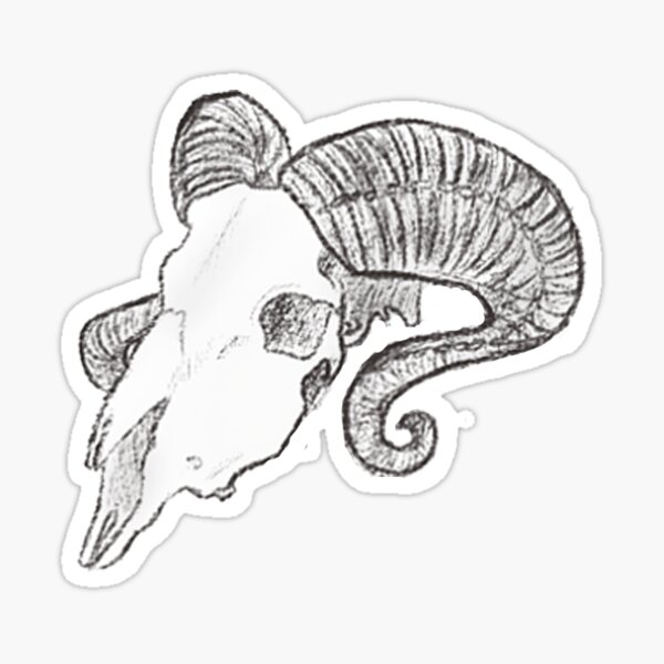 "Ram Skull" Sticker by lionbirbs | Redbubble