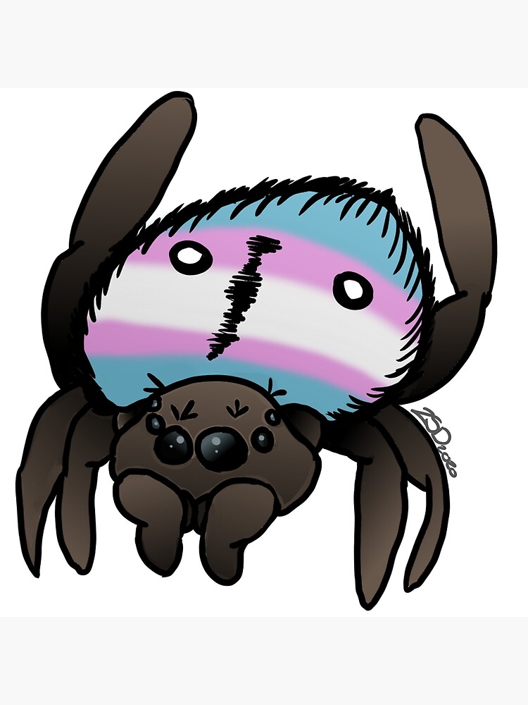 "Peacock Spider Pride Trans" Metal Print for Sale by Farsketched ...