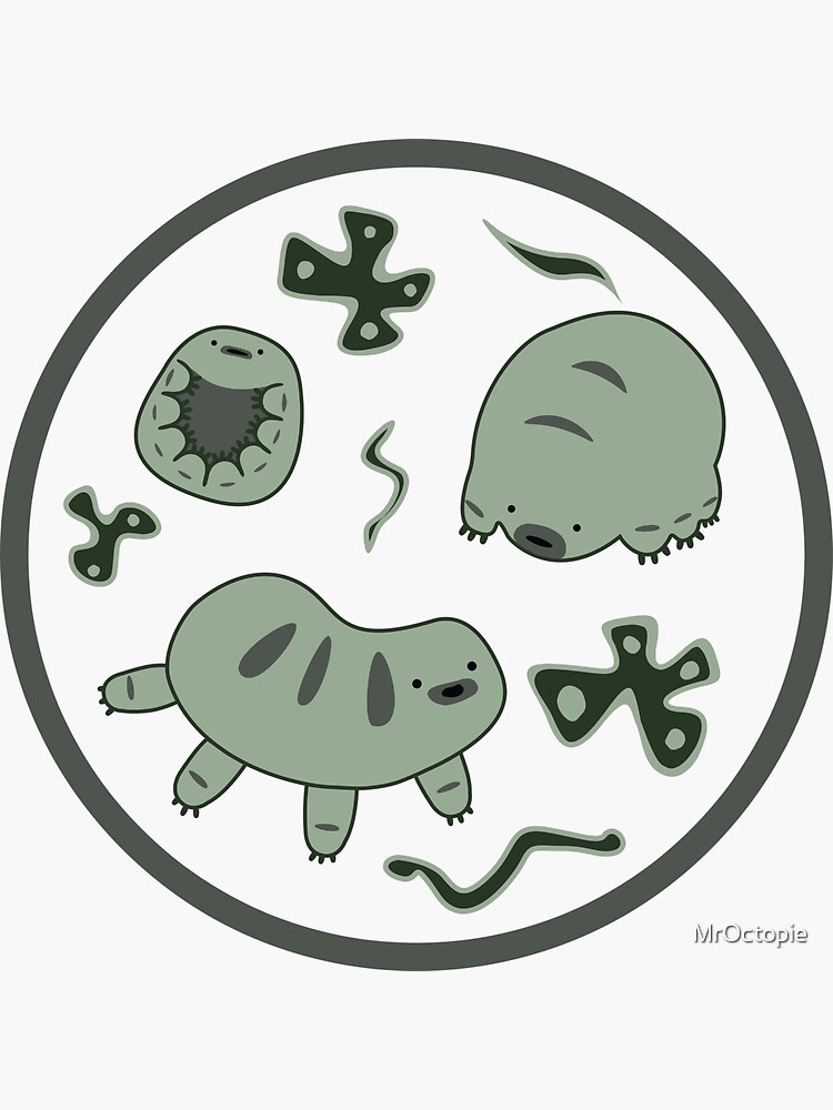 "Tardigrade" Sticker by MrOctopie | Redbubble