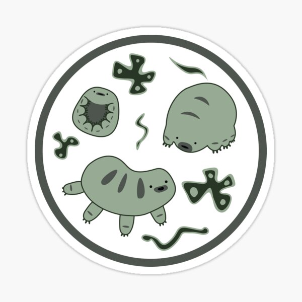 "Tardigrade" Sticker by MrOctopie | Redbubble
