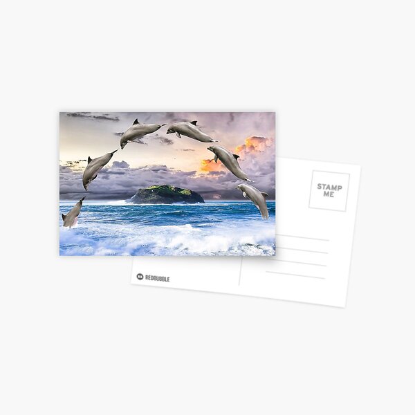 "Dive Dolphin " Postcard for Sale by Water Sports and Safety | Redbubble