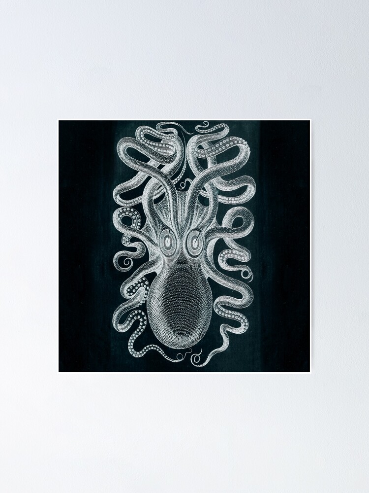 "The.Common.Octopus" Poster by VintageArtistry | Redbubble