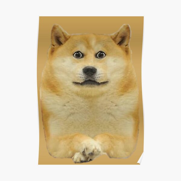 Small Dog Meme Posters | Redbubble