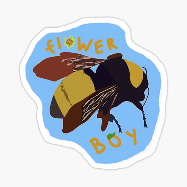 "Transparent Tyler the Creator Flower Boy Sticker (100% profit to BLM ...