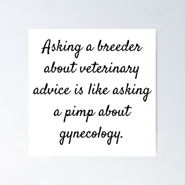 Vet Doctor Quotes