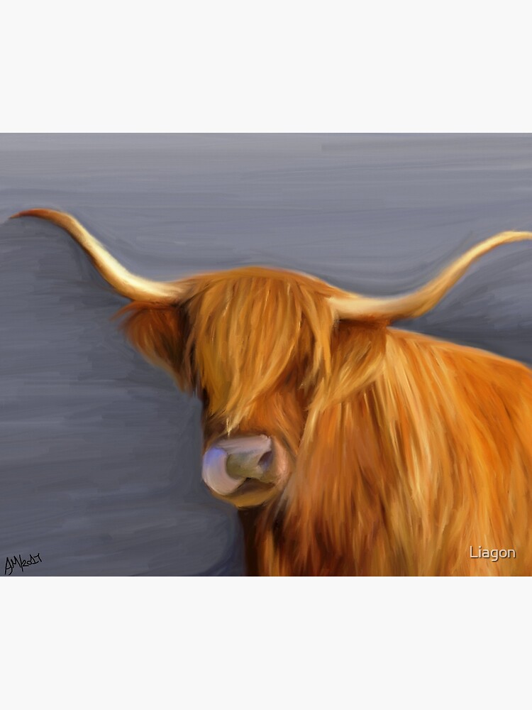 "Cheeky Tam- The Highland Cow " Art Print for Sale by Liagon | Redbubble
