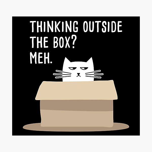 "Thinking outside the box? Meh. Cat Meme" Photographic Print by ...
