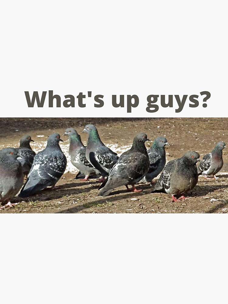 "What's up guys?" Sticker for Sale by somesweet | Redbubble