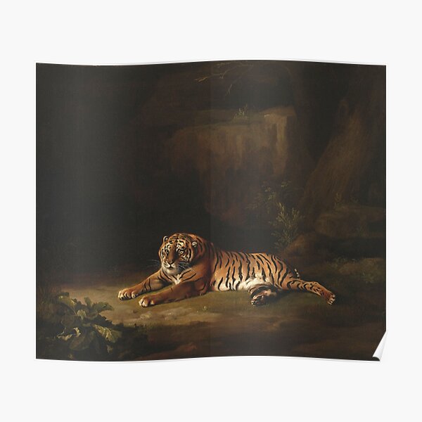 "George Stubbs - Tiger 1769" Poster for Sale by artcenter | Redbubble