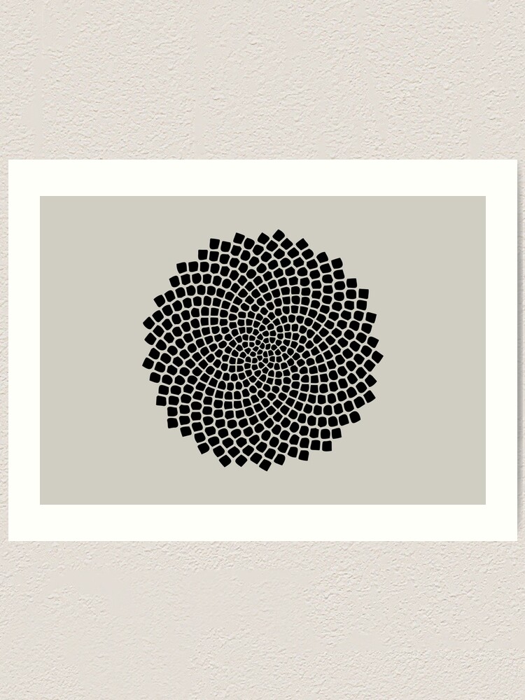 "Sunflower, Seed, Fibonacci, Spiral, Golden Ratio, Phi, Math, Mandala ...