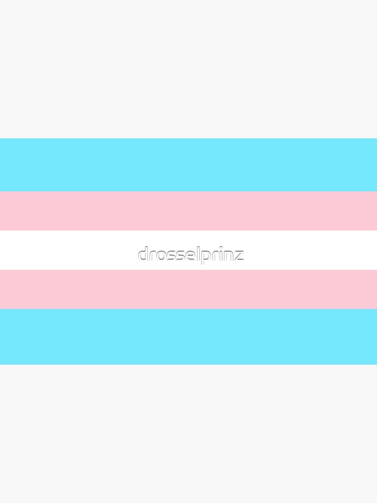 "pastel trans flag" Sticker by drosselprinz | Redbubble