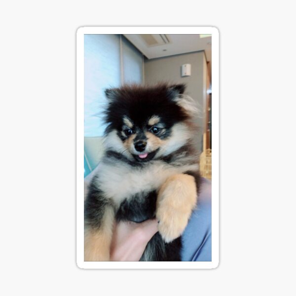 "Yeontan World" Sticker for Sale by Lunastar5 | Redbubble