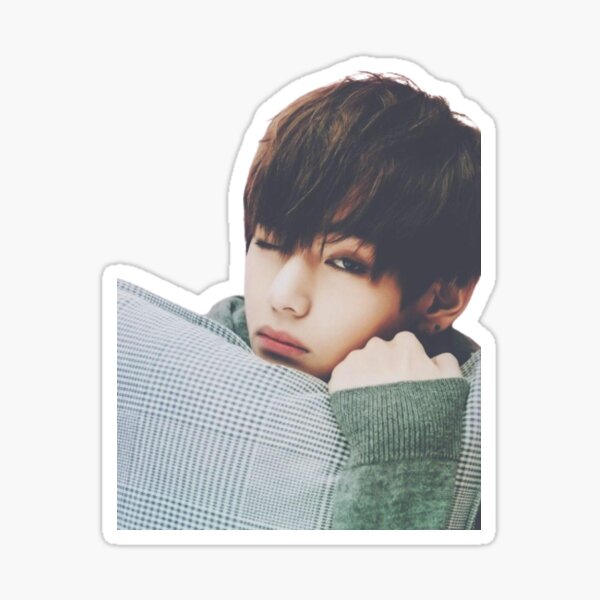 "BTS V" Sticker by TaeshaBTS | Redbubble