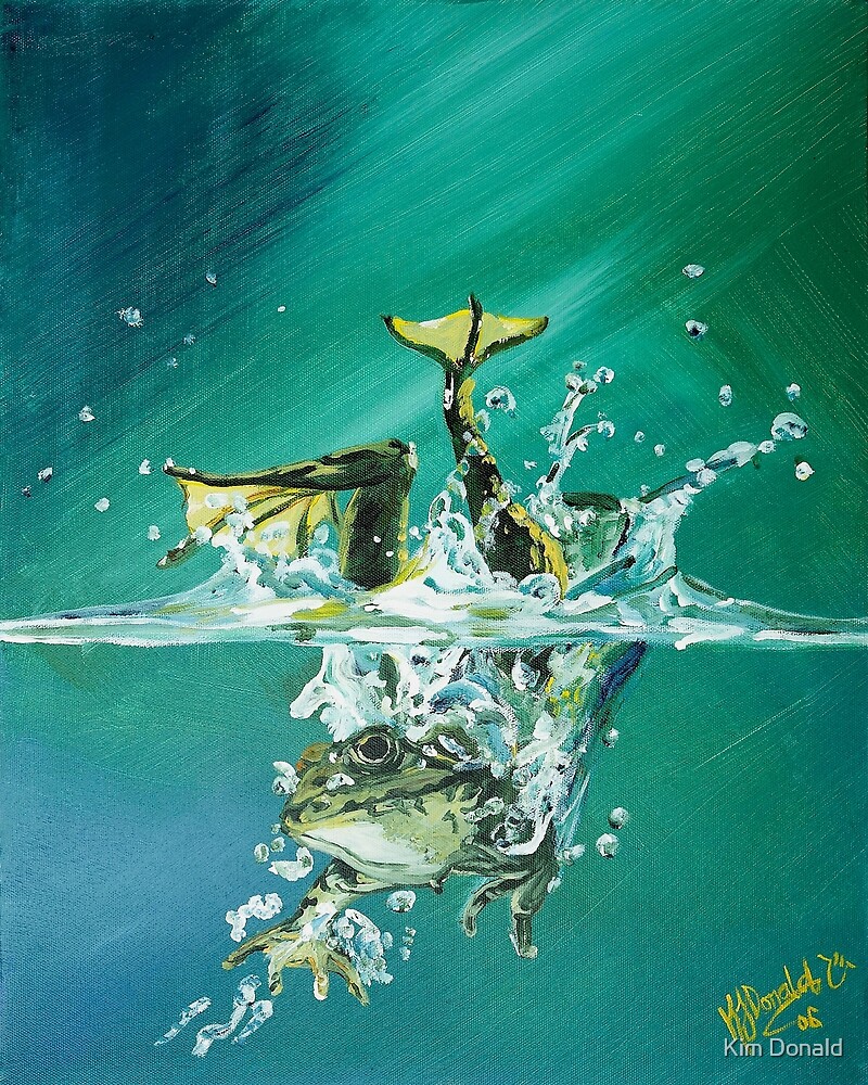 "Frog Splash" by Kim Donald | Redbubble