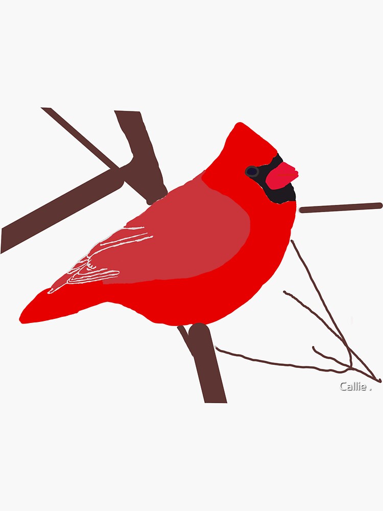 "cute cardinal" Sticker for Sale by calliemoreland | Redbubble