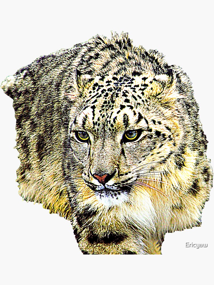 "Leopard face" Sticker for Sale by Ericyaw | Redbubble