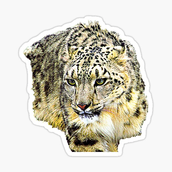 "Leopard face" Sticker for Sale by Ericyaw | Redbubble