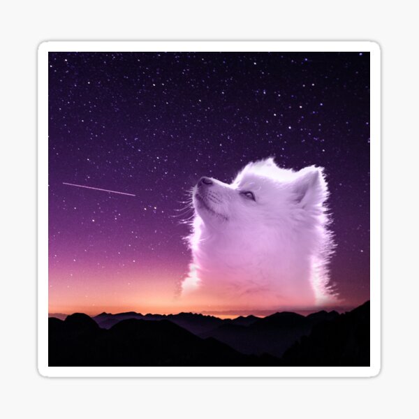 "Cute white dog" Sticker for Sale by priyankpatil | Redbubble