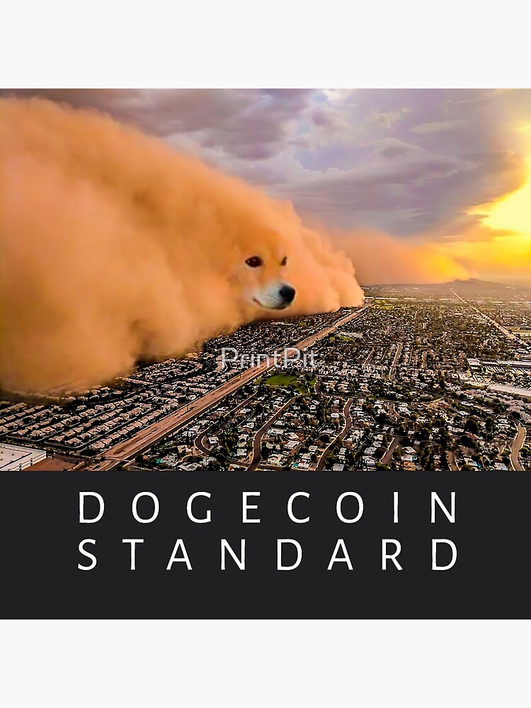 "Dogecoin standard > Global financial system, Elon Musk Twitter meme ...