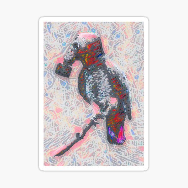 "What about evolution?" Sticker for Sale by Silofun | Redbubble