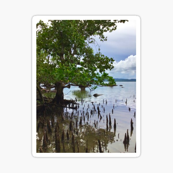 "Mangrove Scenery" Sticker for Sale by Tropicalsoul | Redbubble