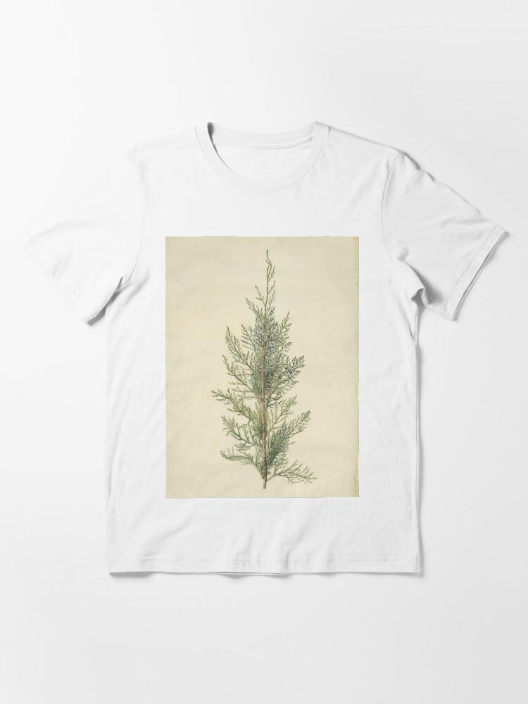 "Botanical Juniper" T-shirt for Sale by bluespecsstudio | Redbubble ...