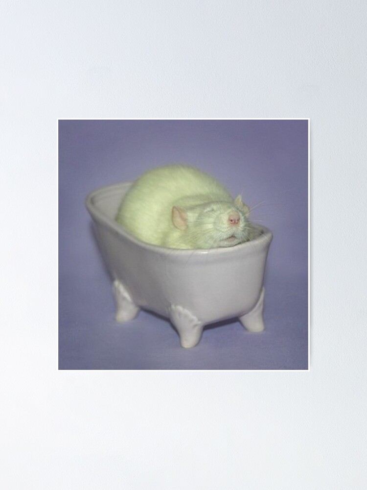 "Rat in a Tub" Poster for Sale by dairyfreegoblin | Redbubble