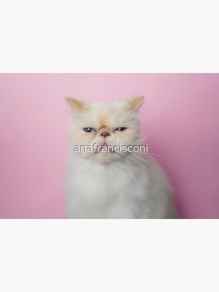 "Lord Aries Cat" Poster by anafrancisconi | Redbubble