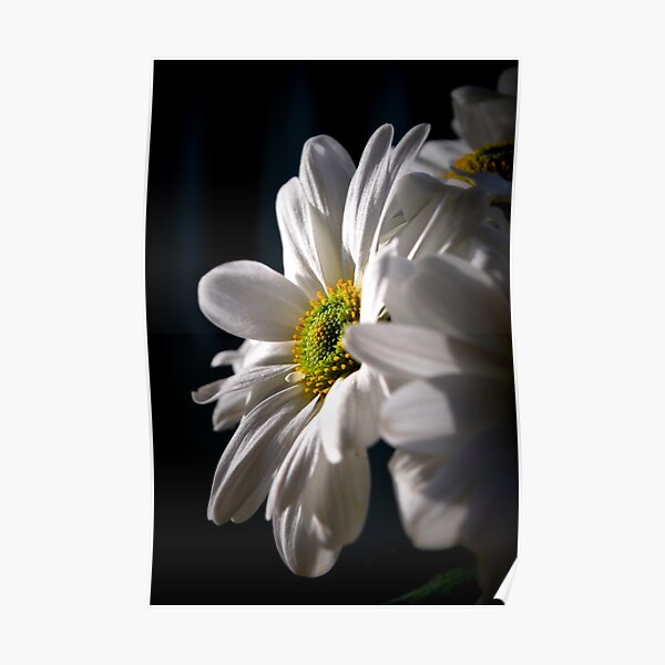 "Intimate" Poster for Sale by lozzar | Redbubble