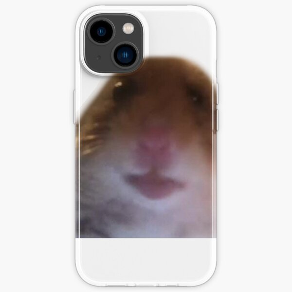 "Hamster Staring Meme" iPhone Case for Sale by solisantoyo | Redbubble
