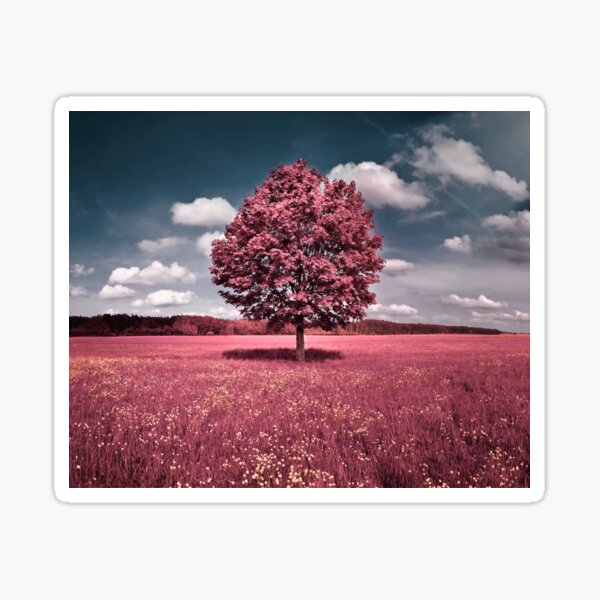 "Pink Tree Garden Aesthetic" Sticker by HWCustoms | Redbubble
