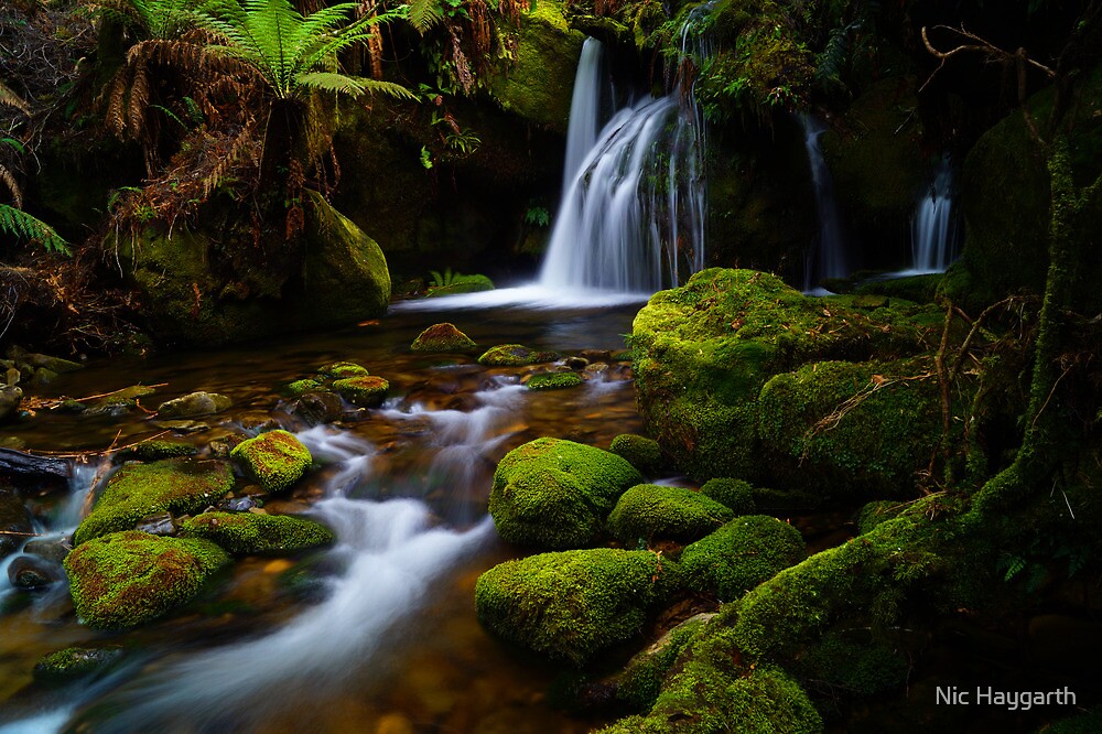 "One of the Bastion Cascades, Meander Forest Reserve, northern Tasmania ...