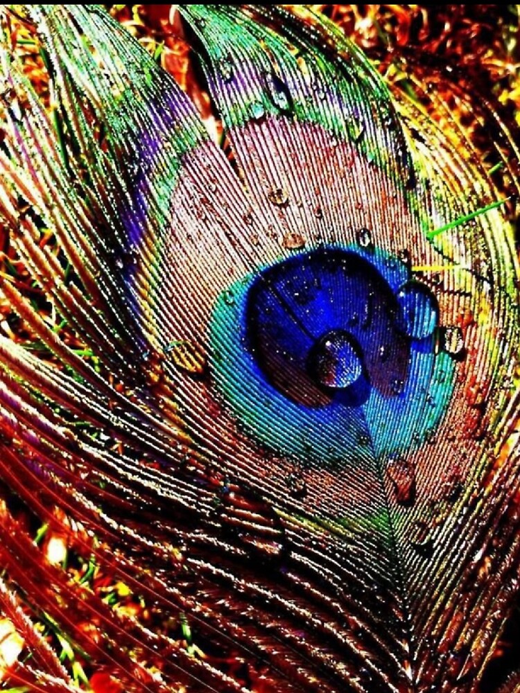 "Peacock feather-good luck" Sticker by Reachdolly | Redbubble