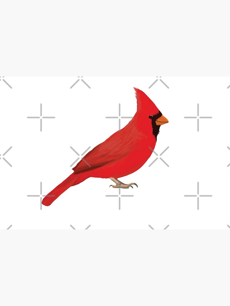 "Cardinal" Art Print by cmd-art | Redbubble
