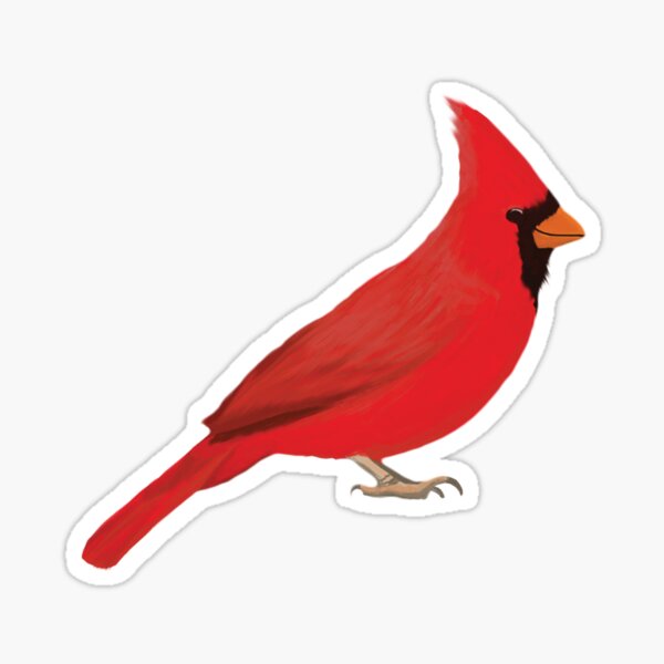 "Cardinal" Sticker for Sale by cmd-art | Redbubble