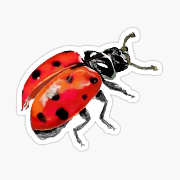 Graphics 300mm Dia Ladybird Floor Stickers Set of 10 Numbered Lady ...