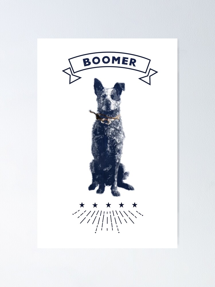 "Boomer The Hero" Poster by DaniRojas | Redbubble