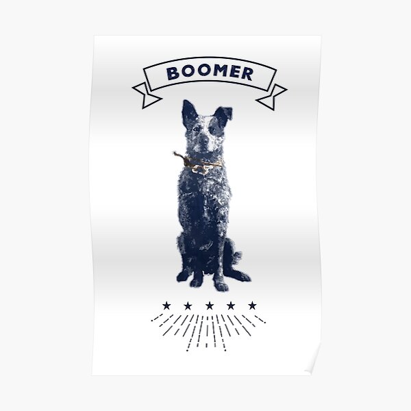 "Boomer The Hero" Poster by DaniRojas | Redbubble