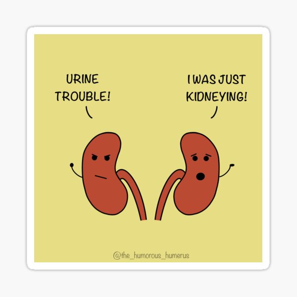 "Humorous Kidneys" Sticker for Sale by humoroushumerus | Redbubble