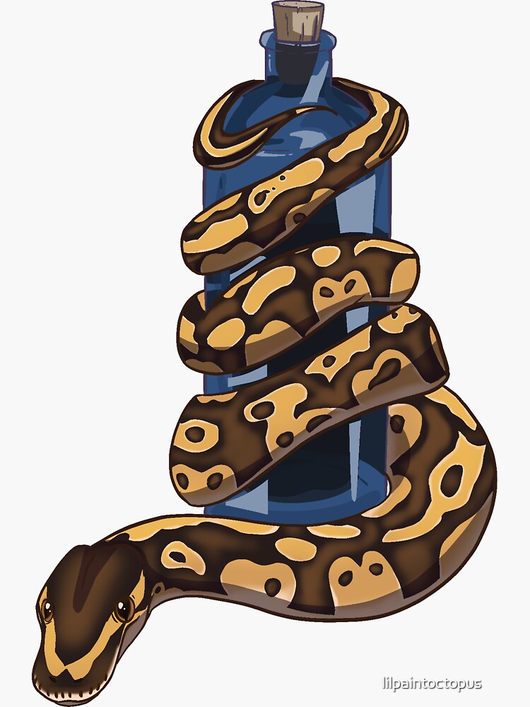 "Ball Python Wrapped Around Bottle" Sticker by lilpaintoctopus | Redbubble