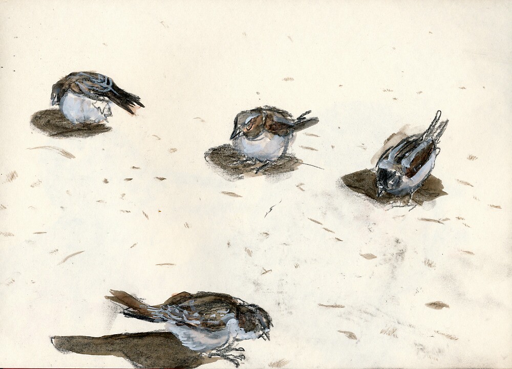 "Sparrows" by WoolleyWorld | Redbubble