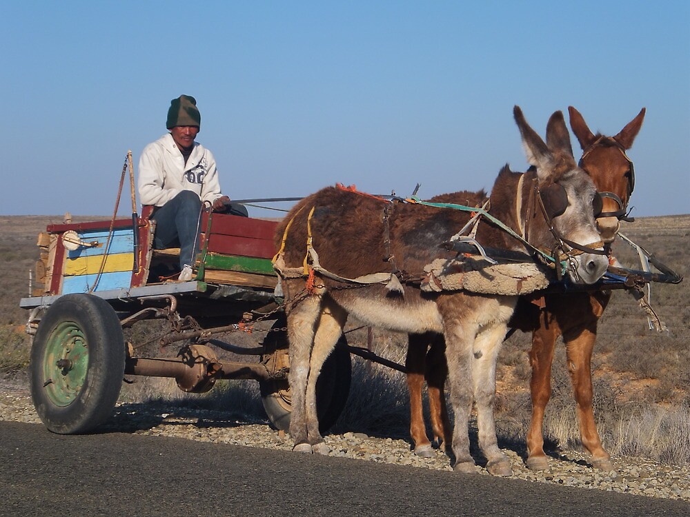 "Donkiekar" by Harrietza | Redbubble